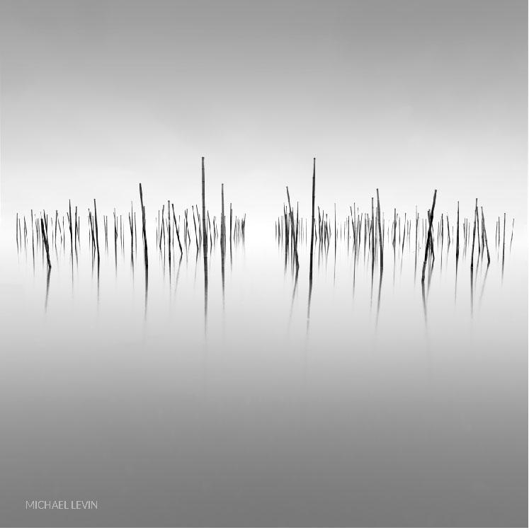 Normandy Workshop with Michael Levin - Ocean Capture